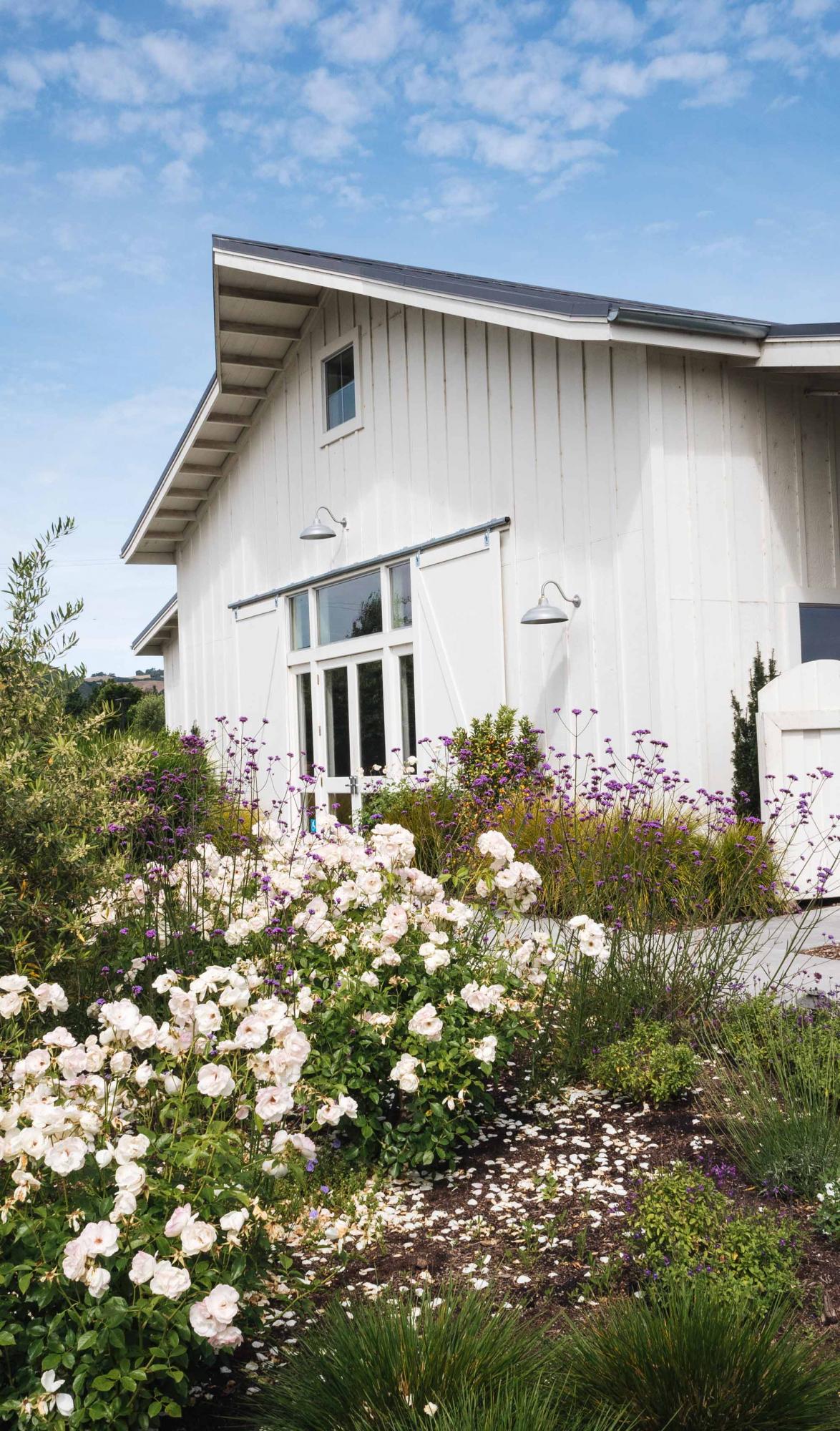 The Barn At Harrow Cellars - The Barn At Harrow Cellars